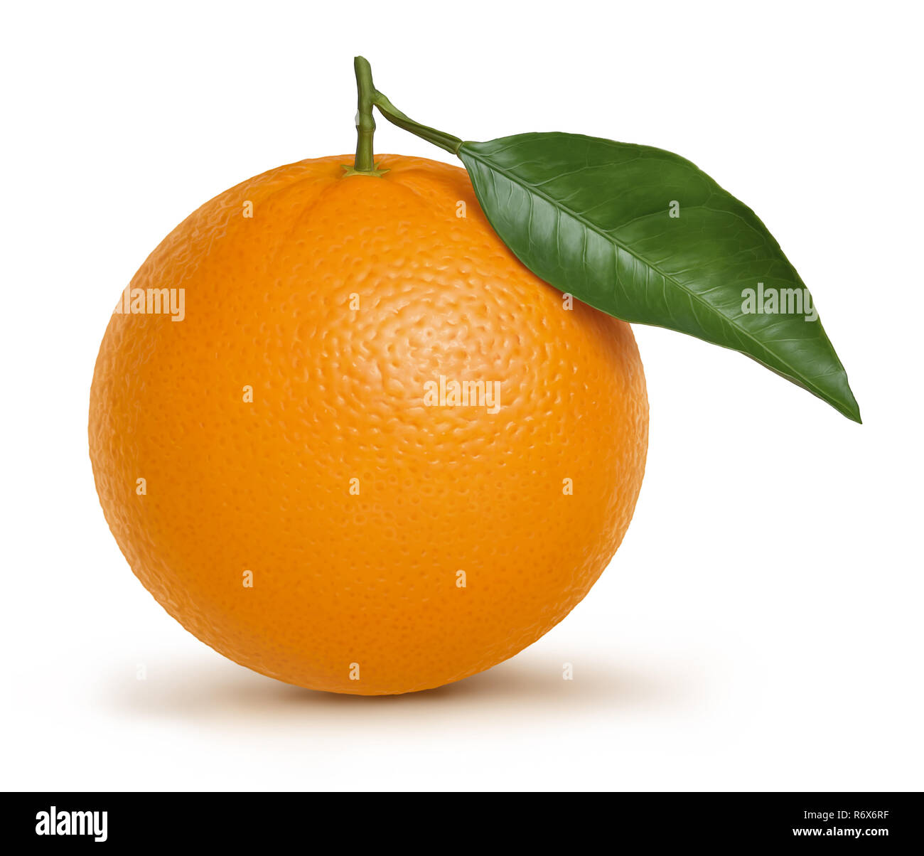 Orange fruit illustration, digital painting Stock Photo - Alamy
