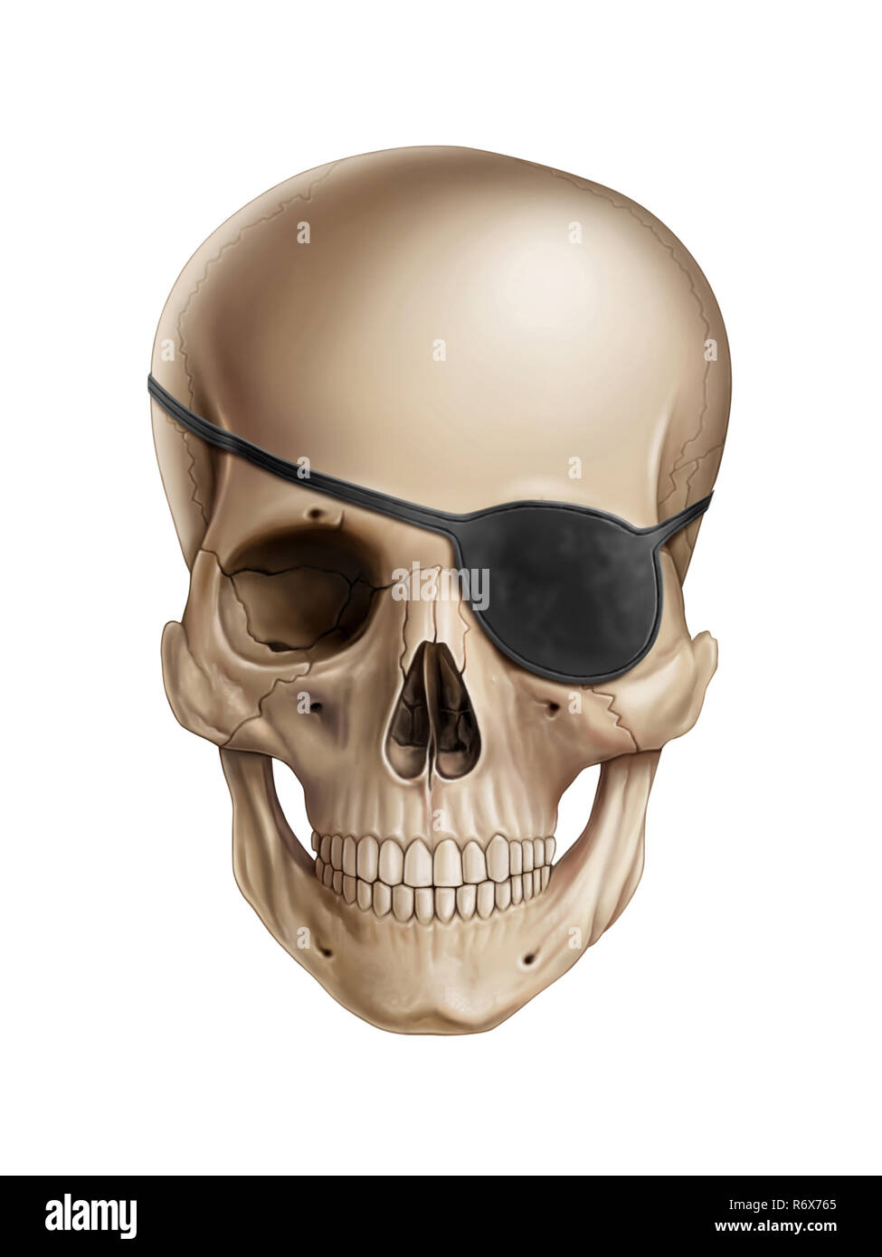 Skull silhouette icon pirate Cut Out Stock Images & Pictures - Alamy