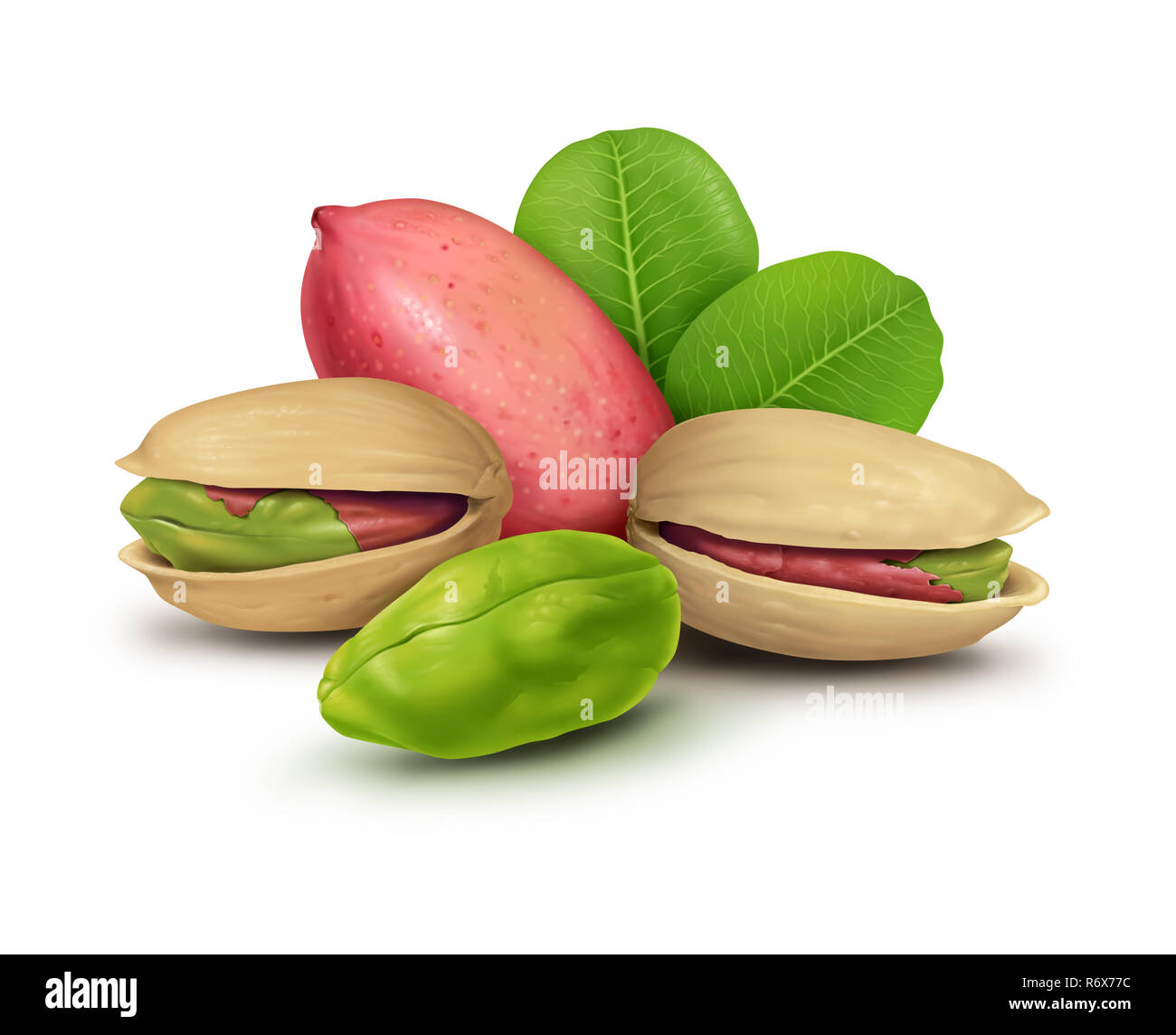 Pistachio drawing hi-res stock photography and images - Alamy