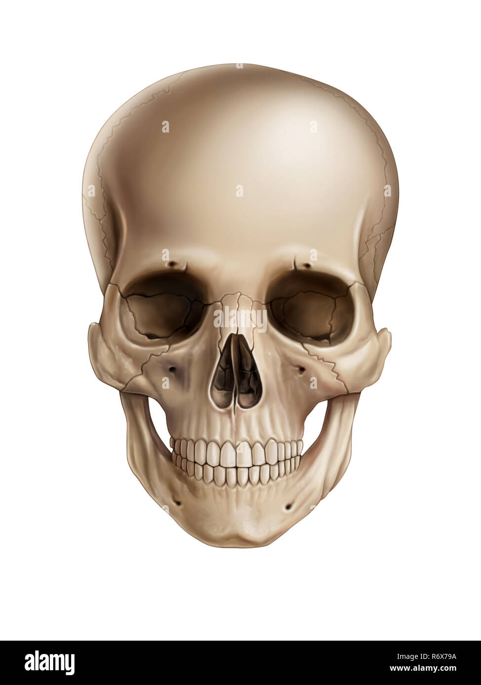 Painting of fear Cut Out Stock Images & Pictures - Alamy