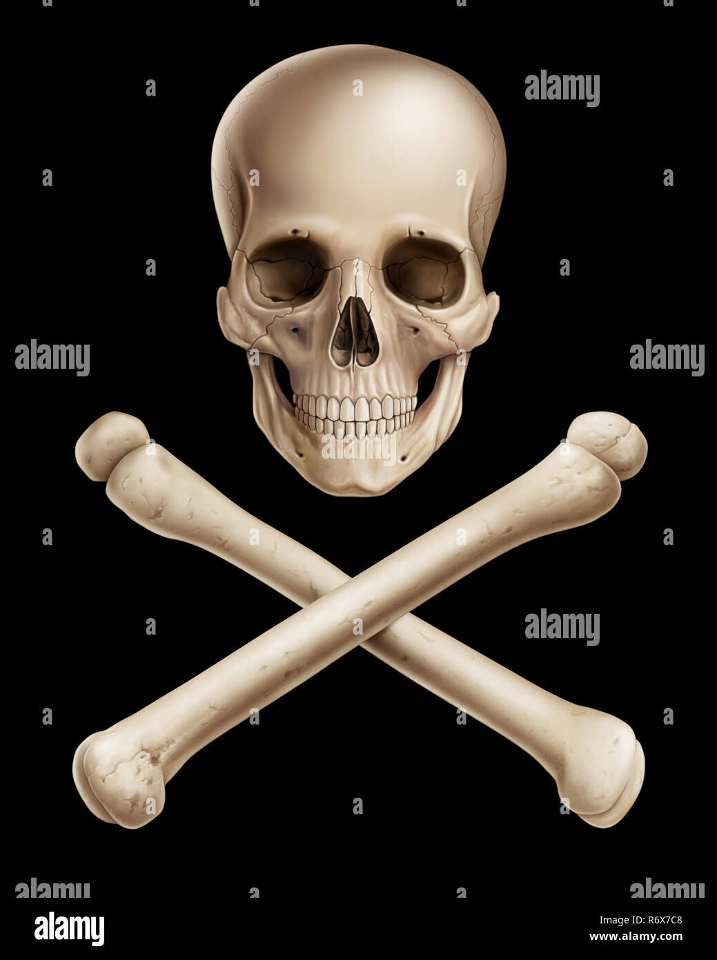 Human skull drawing illustration hi-res stock photography and images ...