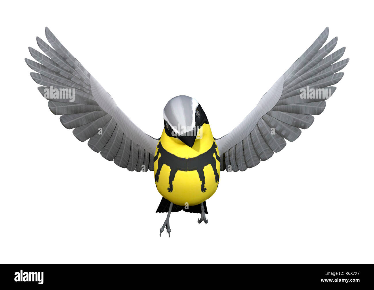 Skipping bird Cut Out Stock Images & Pictures - Alamy