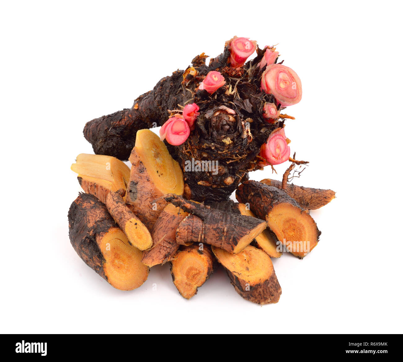 Rheum rhizomes and roots Stock Photo - Alamy