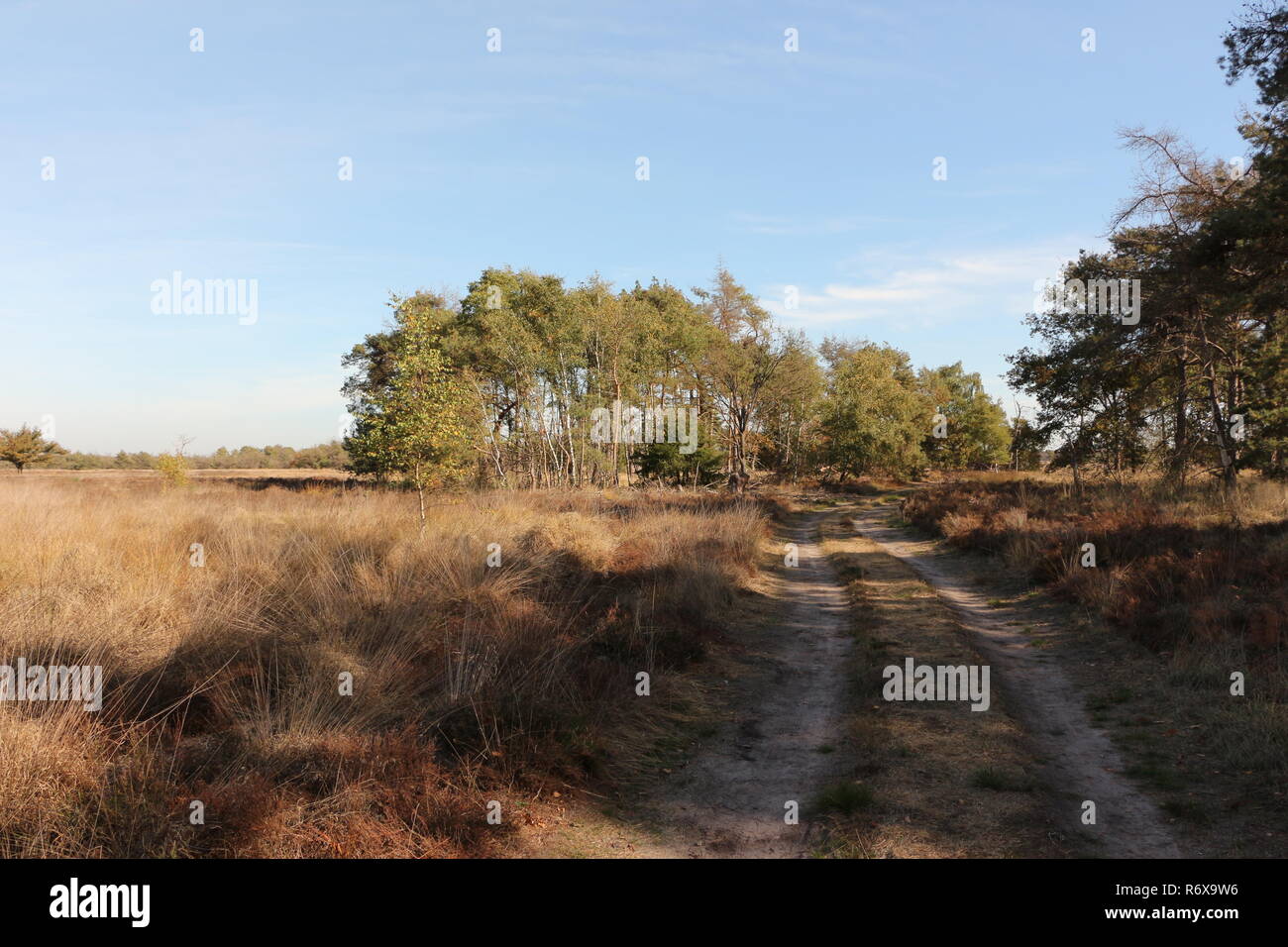 Strabrechtse heide hi-res stock photography and images - Alamy
