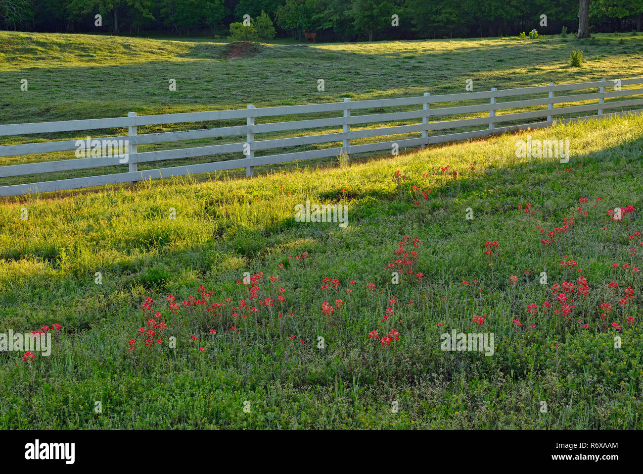 Roadside rural landscape, DePew, Bristow, Oklahoma, USA Stock Photo - Alamy