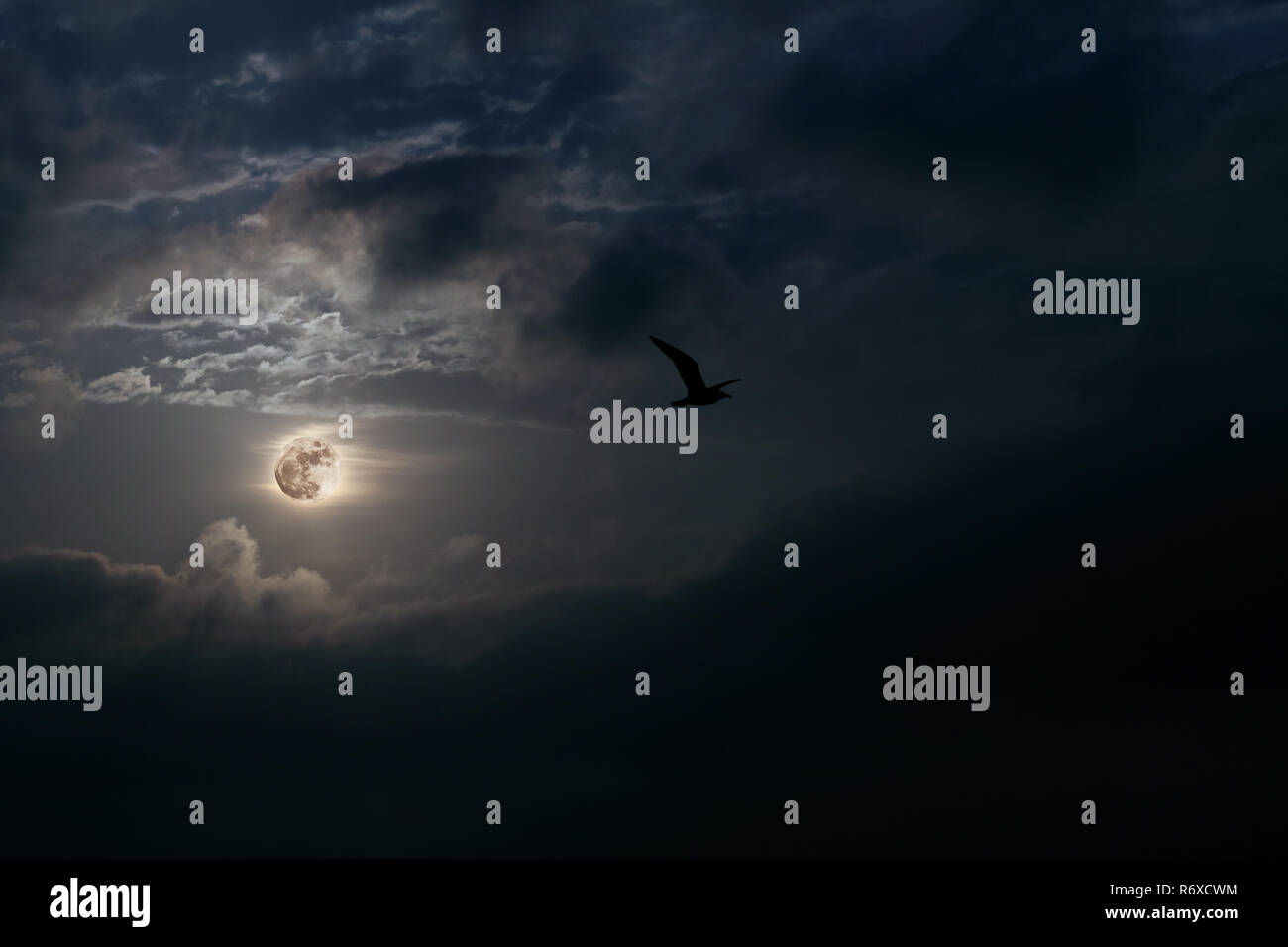 Full moon rise hi-res stock photography and images - Alamy