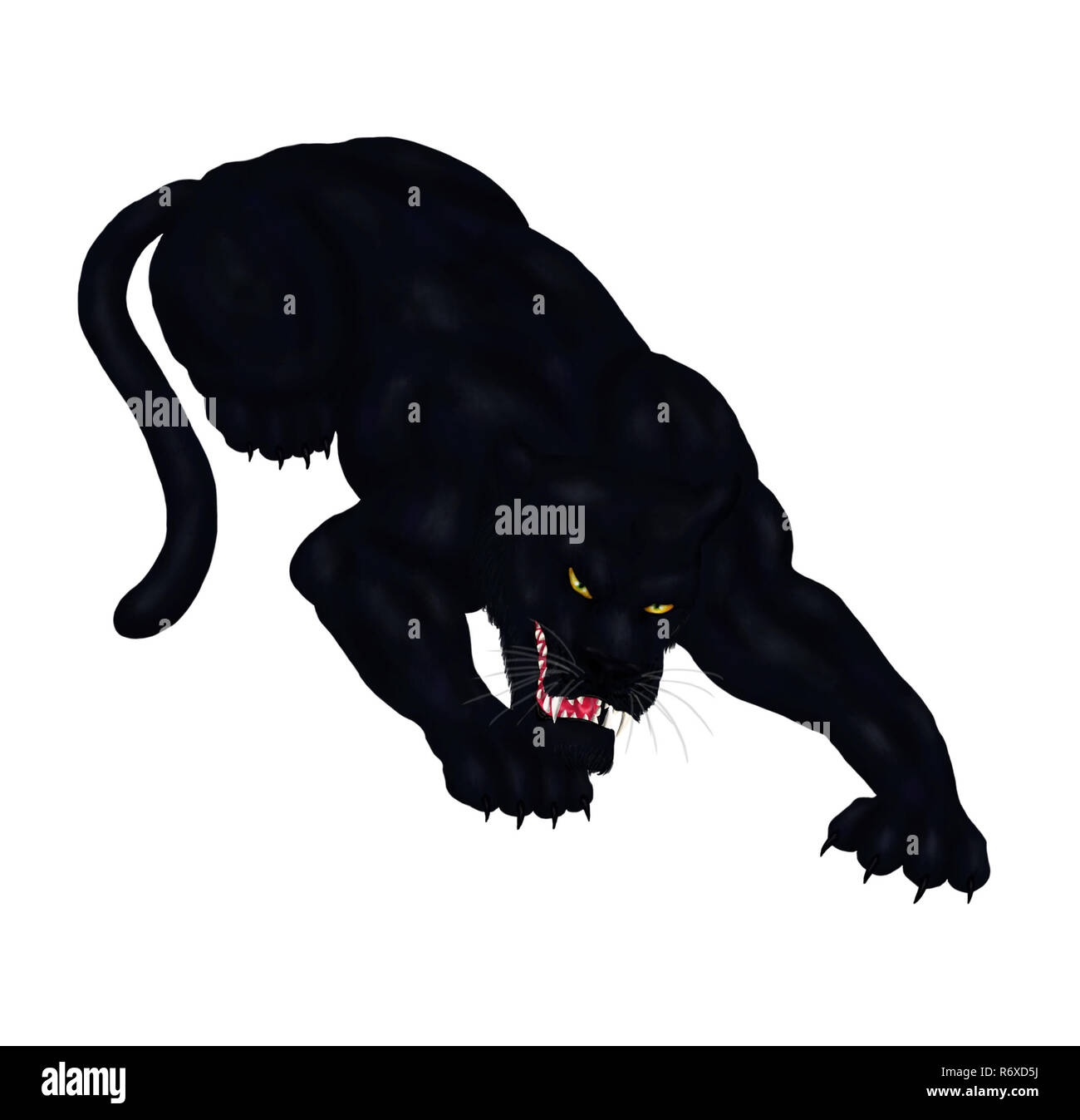Black panther snarling hi-res stock photography and images - Alamy