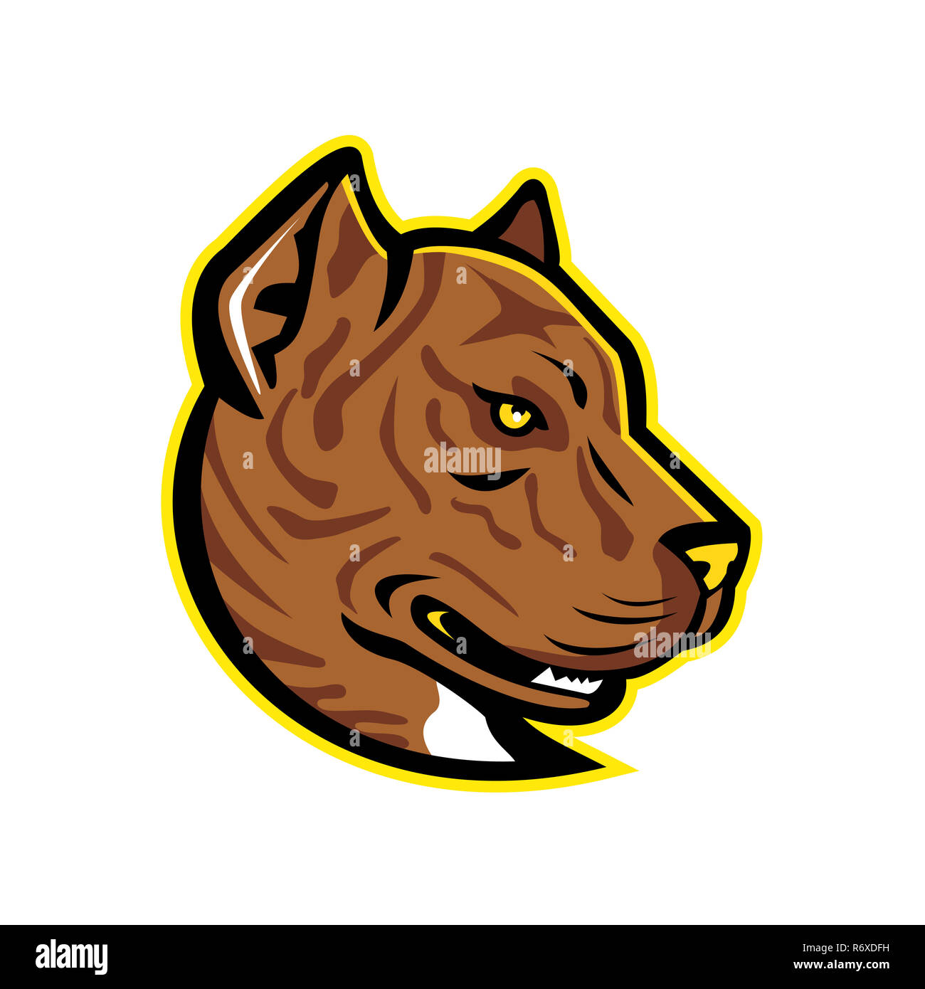 Spanish bulldog hi-res stock photography and images - Alamy