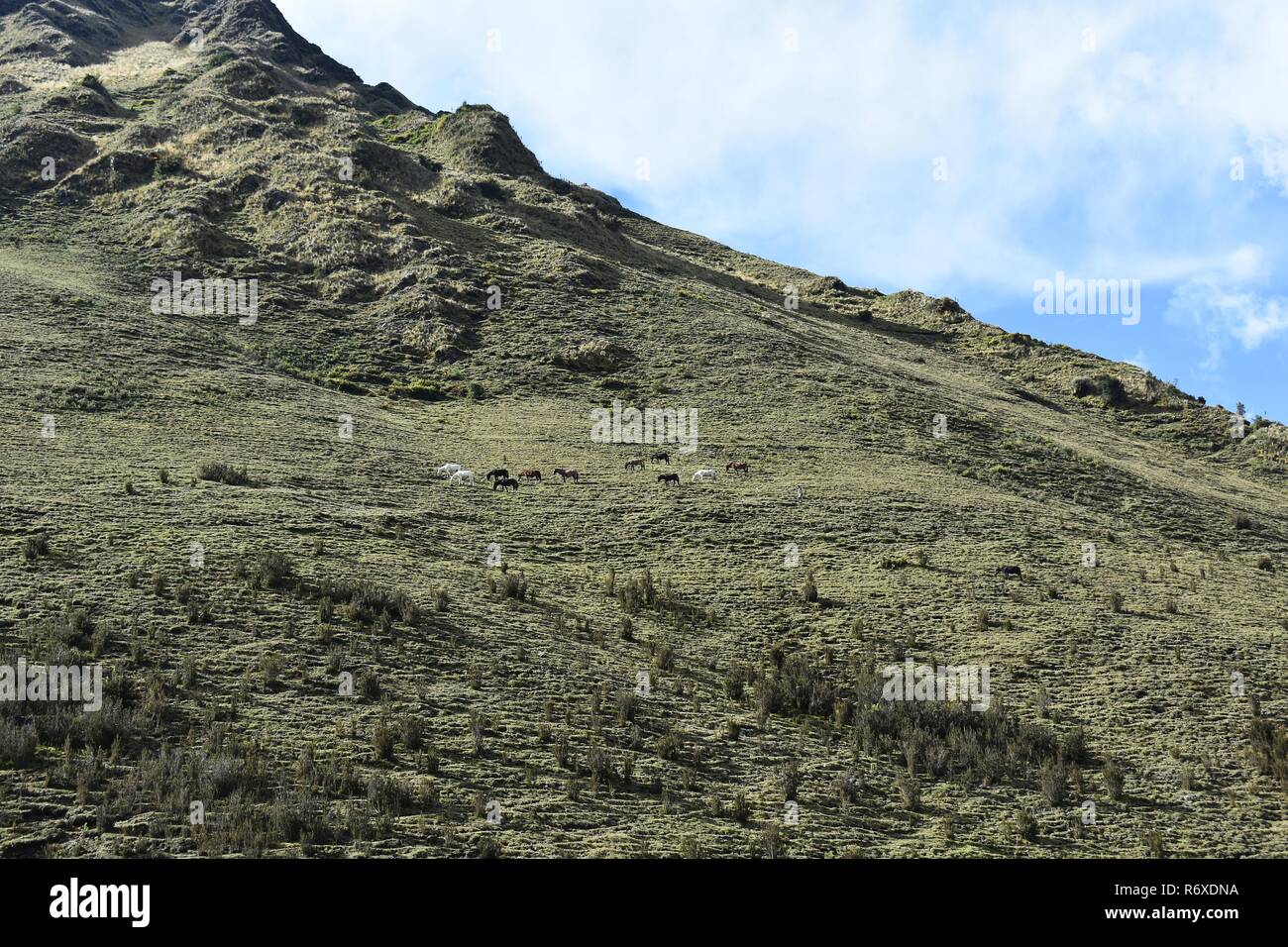 Andean mountain scenery along the Salkantay trek to Machu Picchu, Peru ...