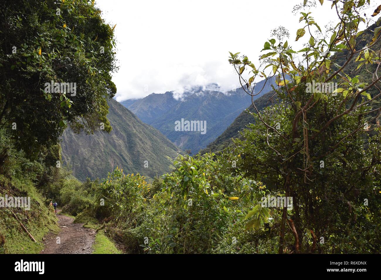 Andean mountain scenery along the Salkantay trek to Machu Picchu, Peru ...
