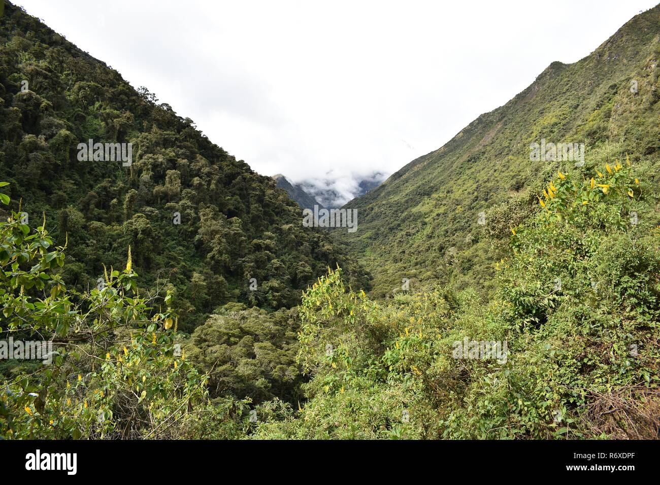 Andean mountain scenery along the Salkantay trek to Machu Picchu, Peru ...