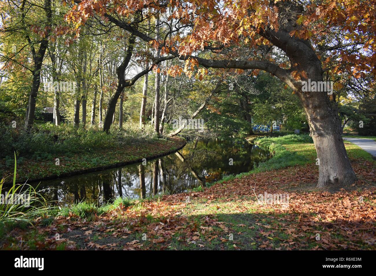 Pond scenery hi-res stock photography and images - Alamy