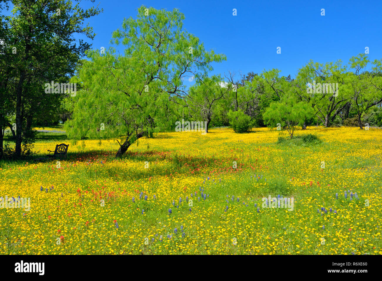 Burnet County High Resolution Stock Photography and Images - Alamy