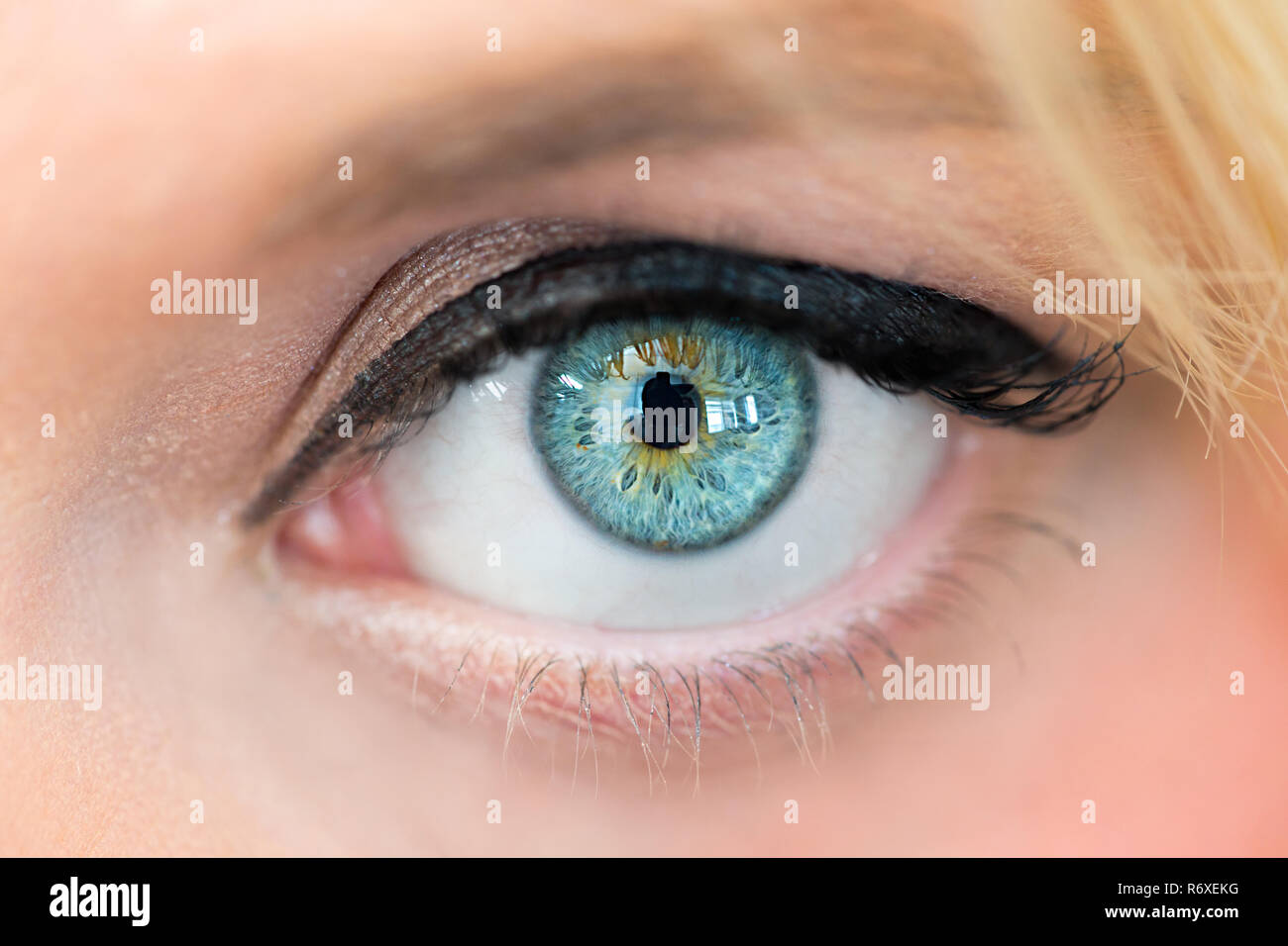 The human eye Stock Photo - Alamy