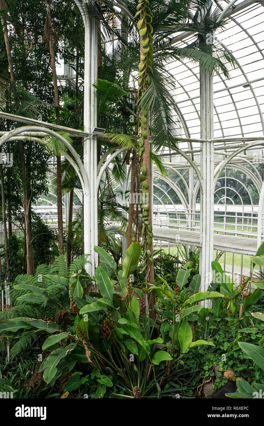 glass hall greenhouse Botanical garden park Curitiba indoors structure ...