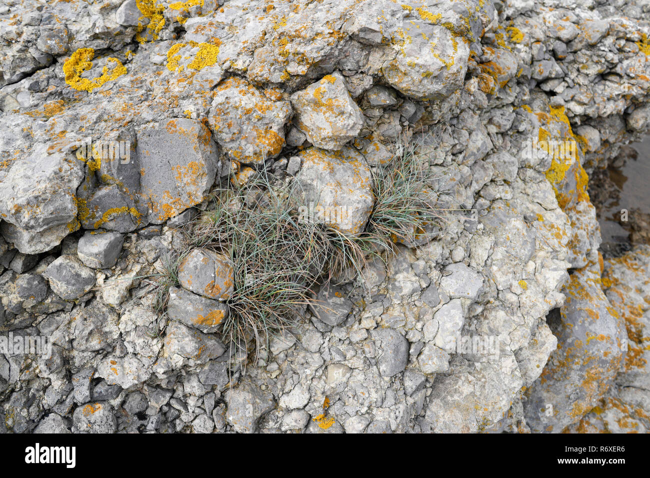 Limestone rocks with yellow lichen Stock Photo - Alamy