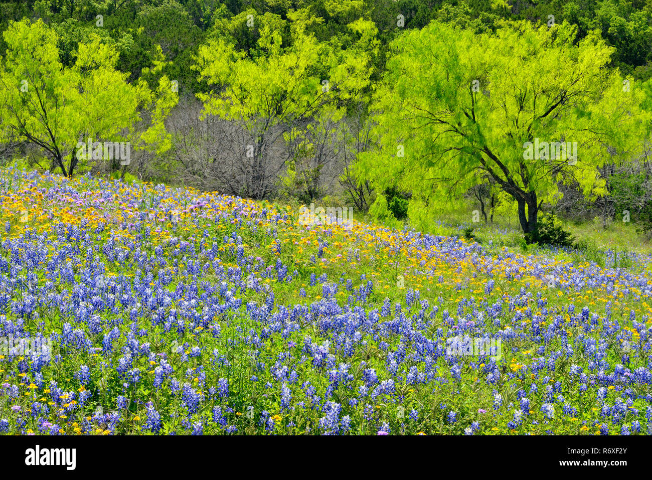 Burnet County High Resolution Stock Photography and Images - Alamy
