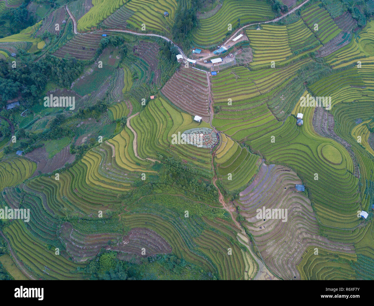 Top view of beautiful Vietnam landscapes with terraces rice field ...