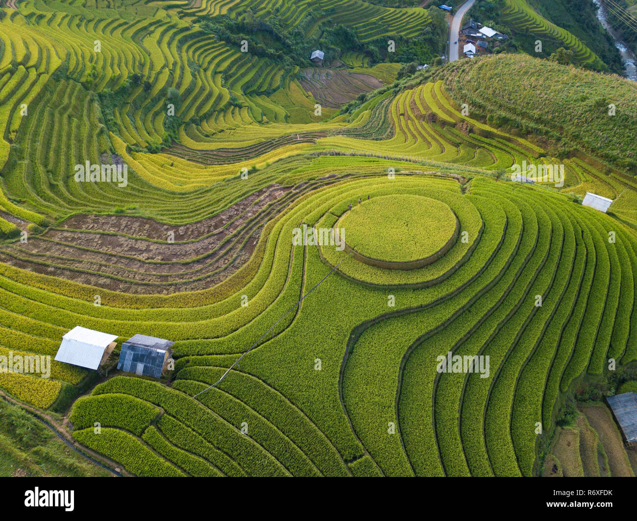 Top view of beautiful Vietnam landscapes with terraces rice field ...