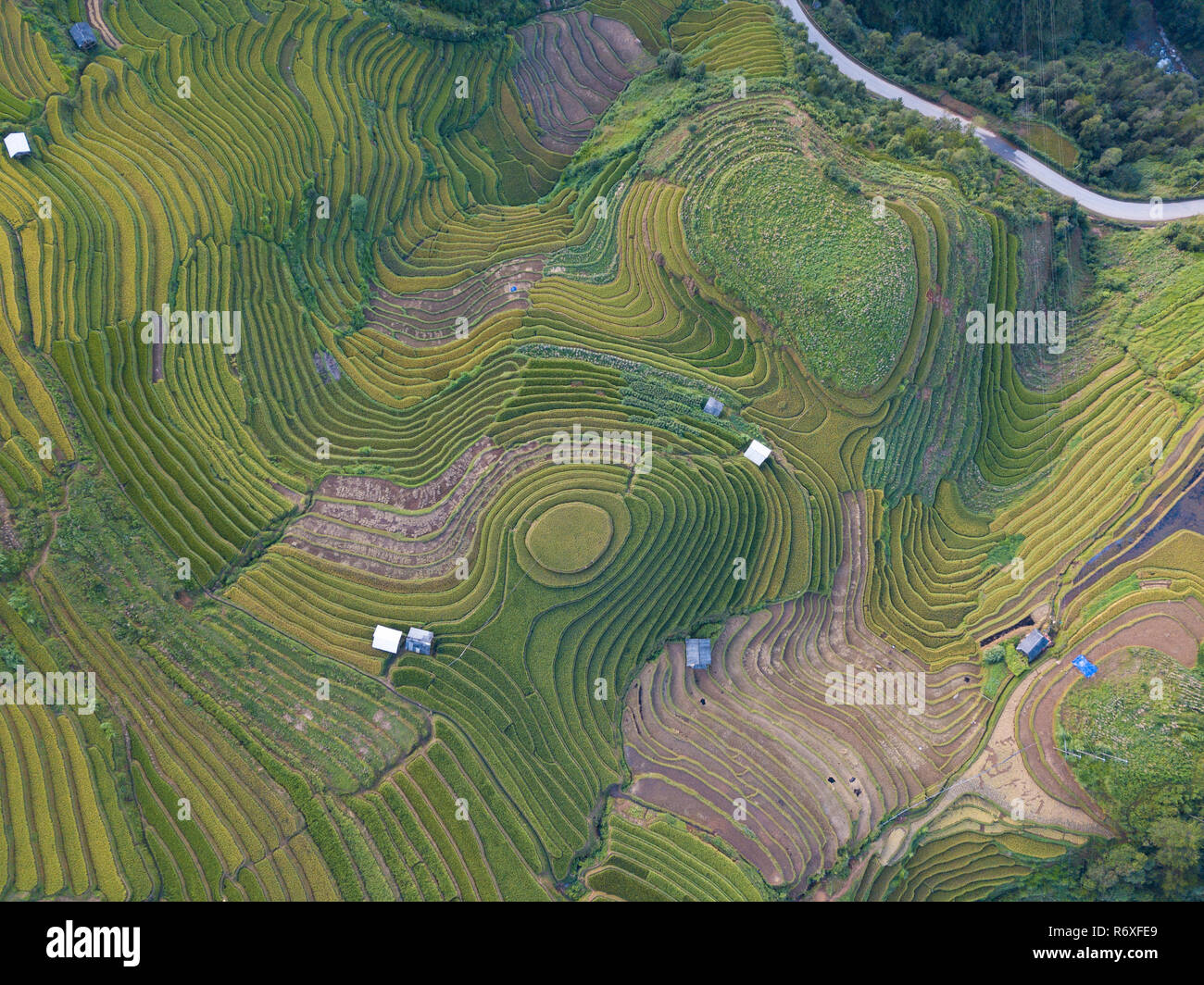 Top view of beautiful Vietnam landscapes with terraces rice field ...