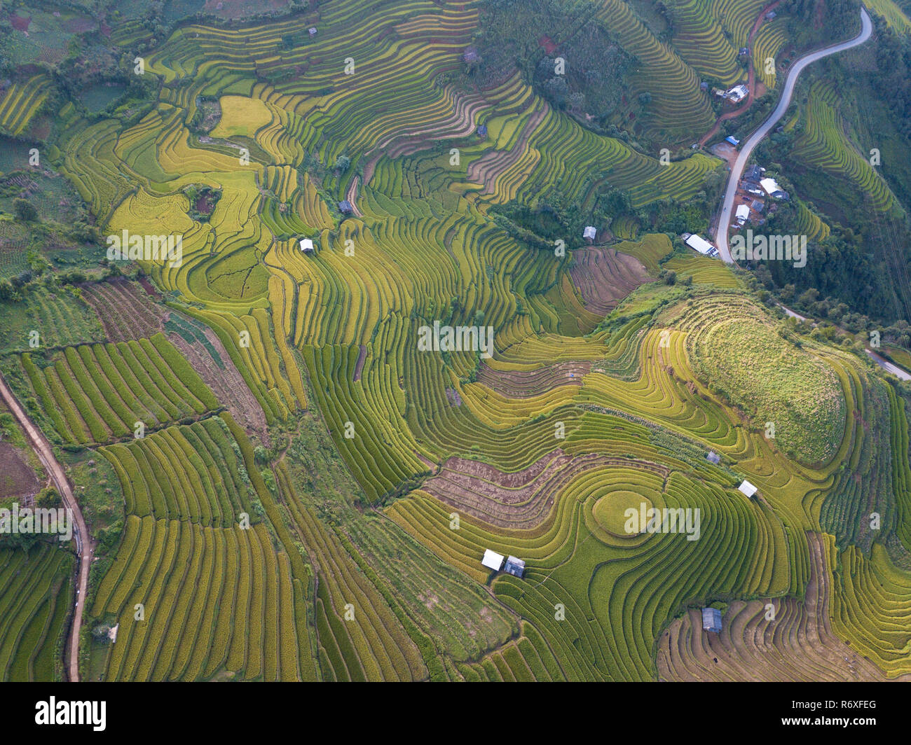 Top view of beautiful Vietnam landscapes with terraces rice field ...