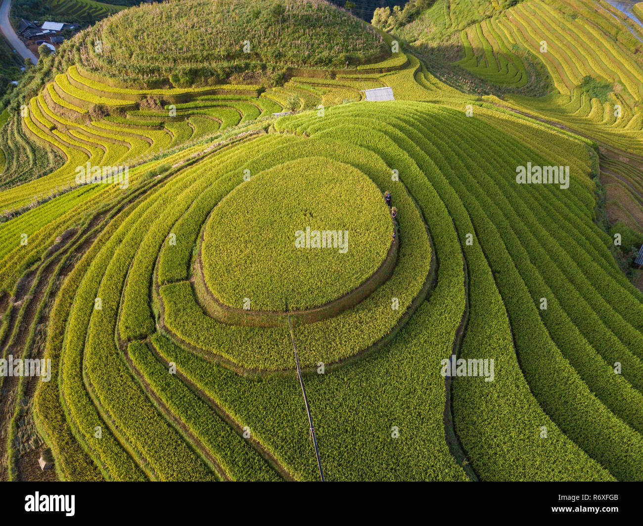 Aerial view of Vietnam landscapes. Rice fields on terraced of Mu Cang ...
