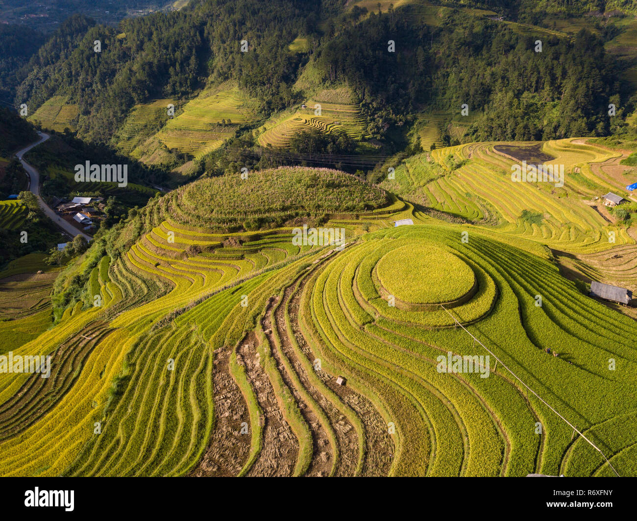 Top view of beautiful Vietnam landscapes with terraces rice field ...