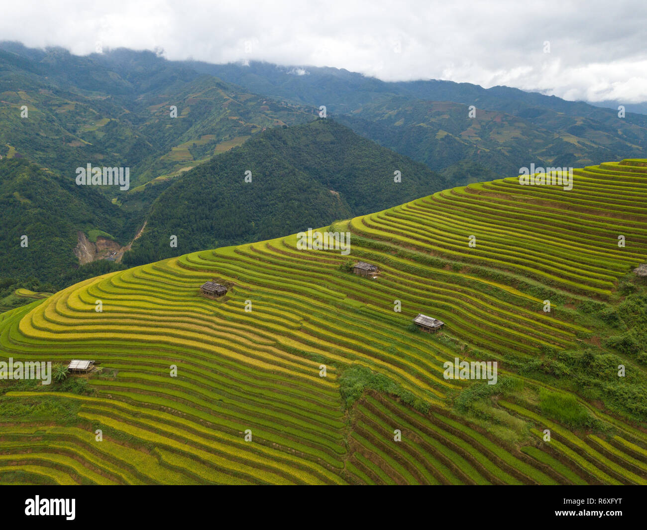 Top view of beautiful Vietnam landscapes with terraces rice field ...