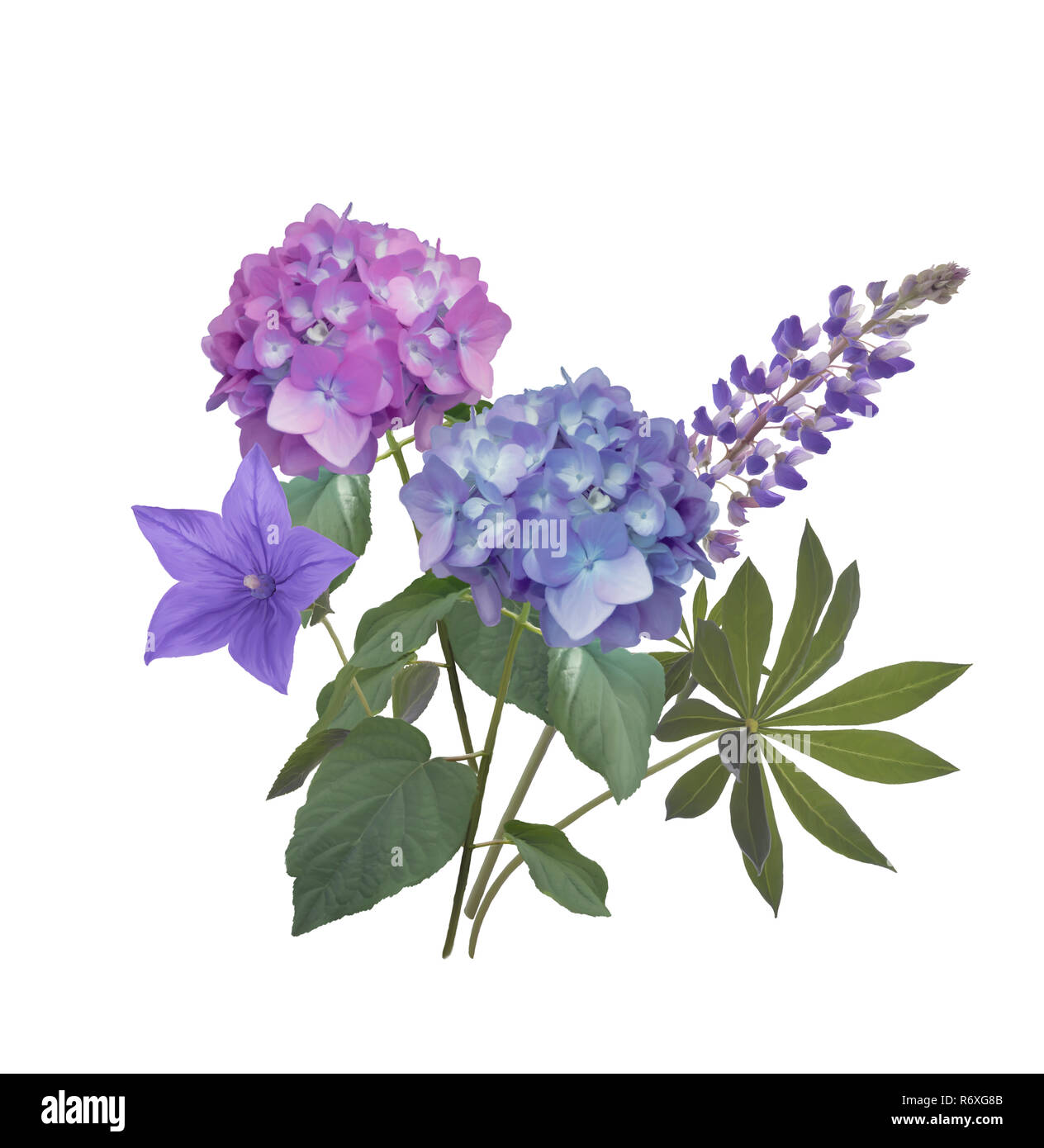 Blue and purple flowers Stock Photo - Alamy