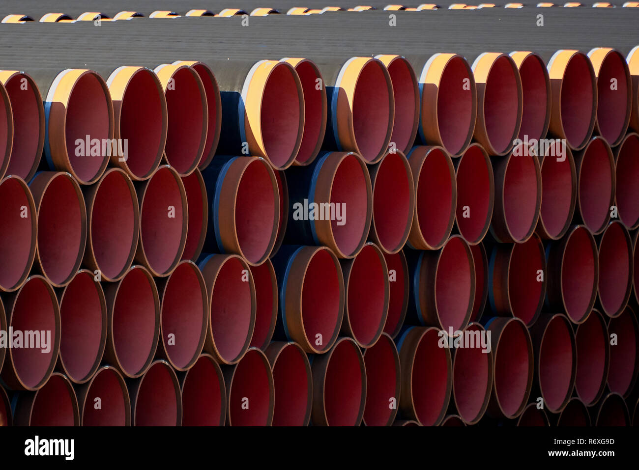 Circular fossil hi-res stock photography and images - Alamy