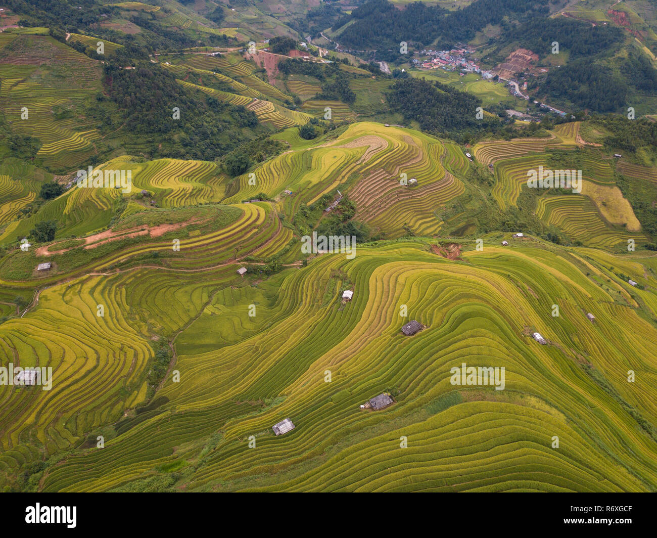 Top view of beautiful Vietnam landscapes with terraces rice field ...