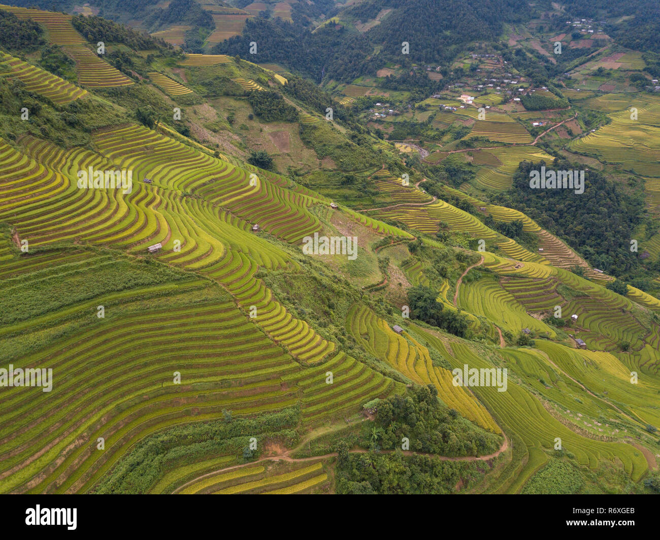 Top view of beautiful Vietnam landscapes with terraces rice field ...