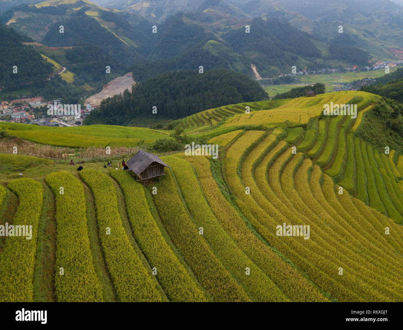 Aerial view of Vietnam landscapes. Rice fields on terraced of Mu Cang ...