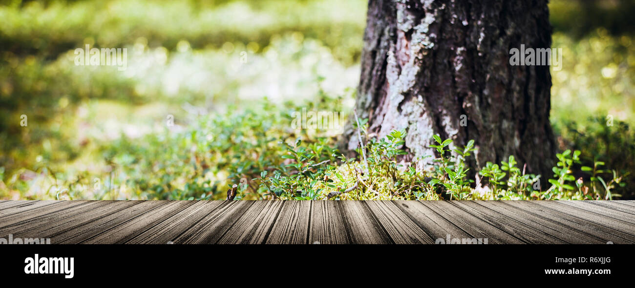 Forest bokeh background Stock Photo - Alamy