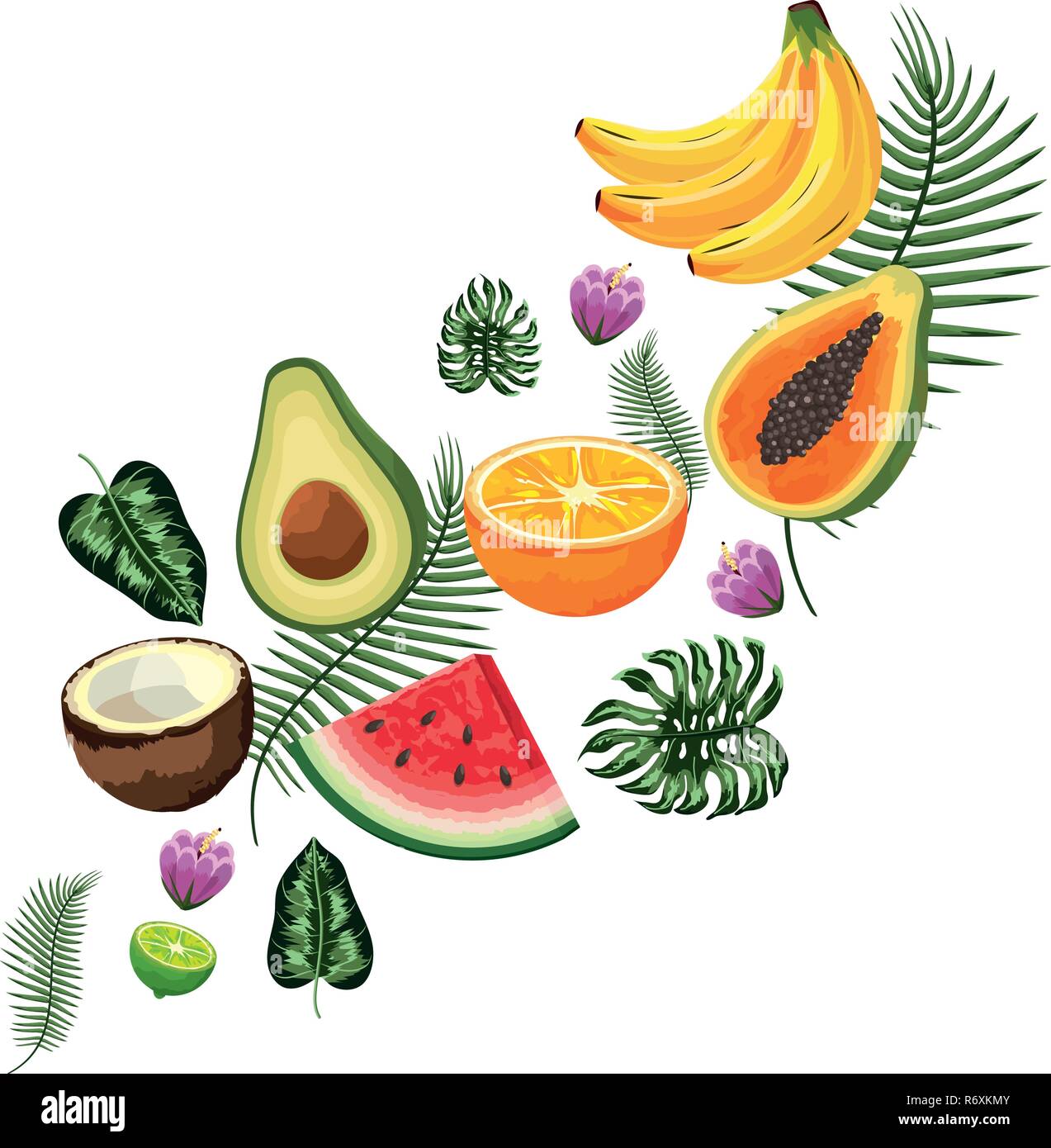 tropical fruits cartoon Stock Vector Image & Art - Alamy