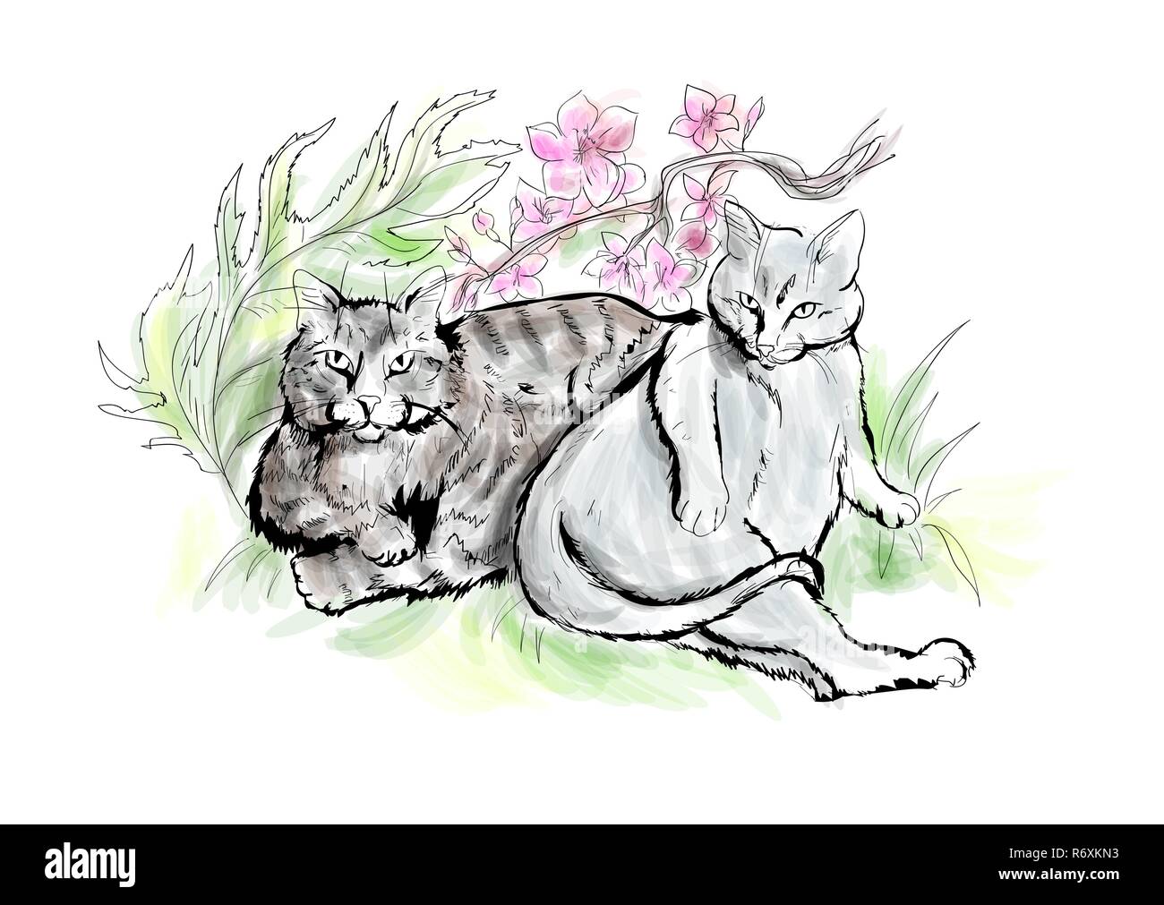 two fat cats with flower on whirte background Stock Vector Image & Art ...