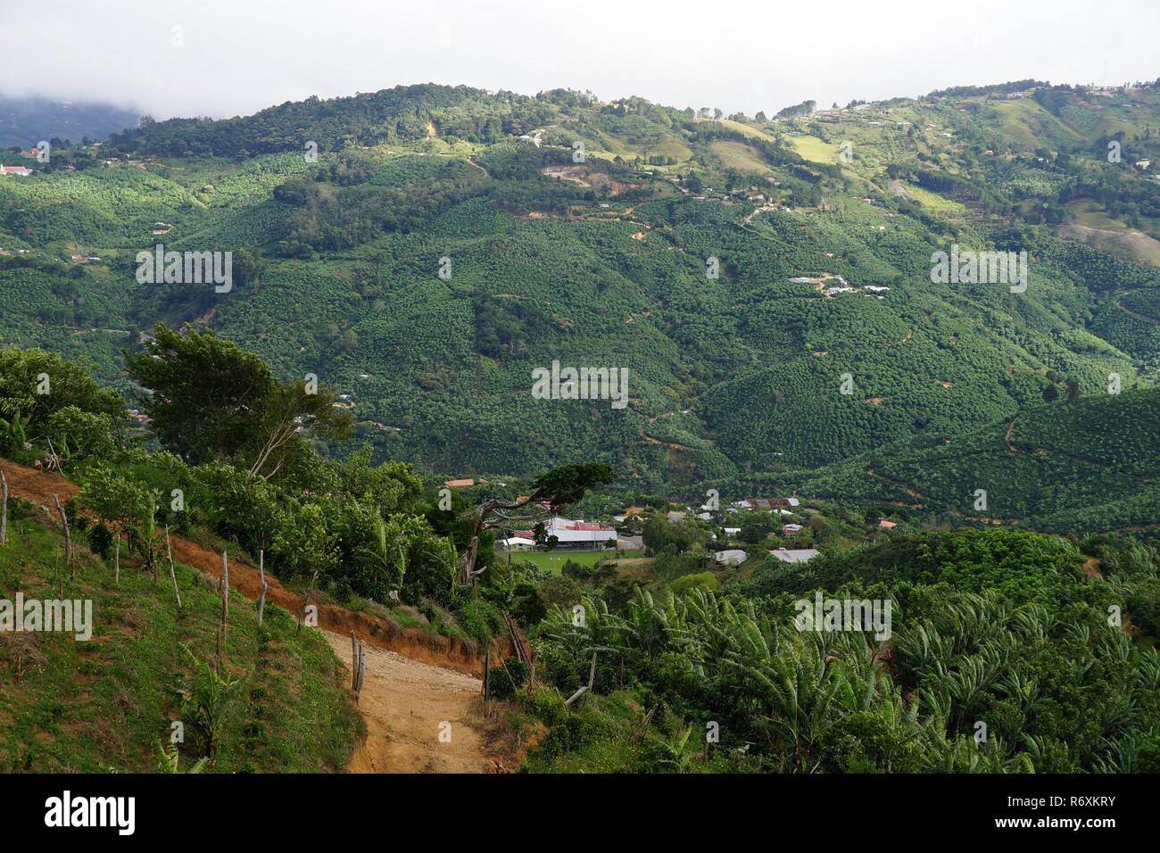 Windling hi-res stock photography and images - Alamy