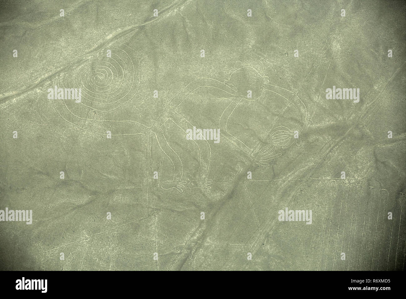Nazca Lines - Monkey Stock Photo - Alamy