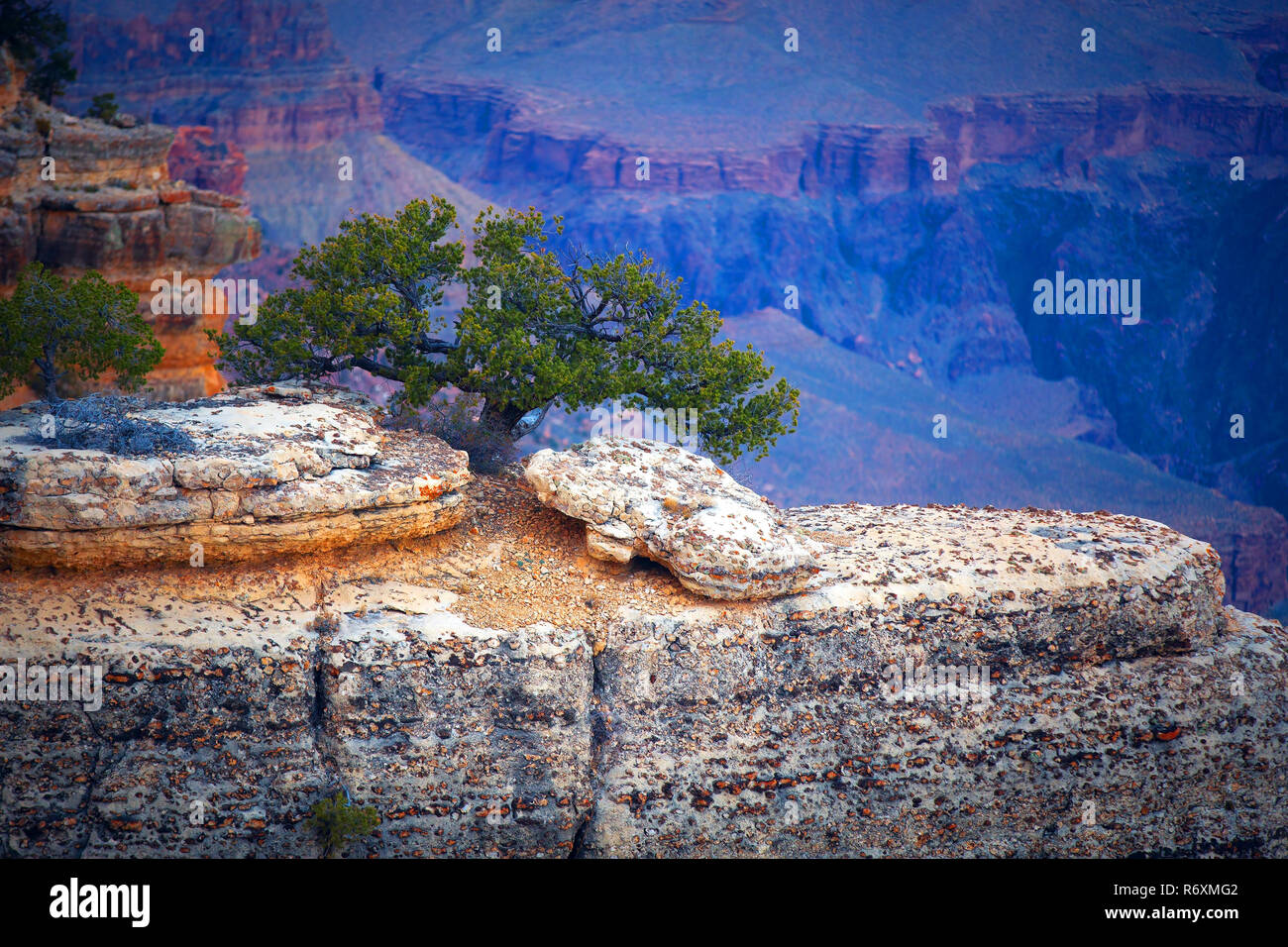 famous view of Grand Canyon , Arizona Stock Photo - Alamy