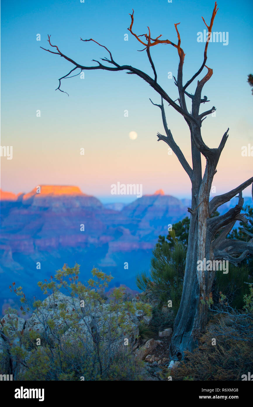 Grand Canyon at night Stock Photo - Alamy