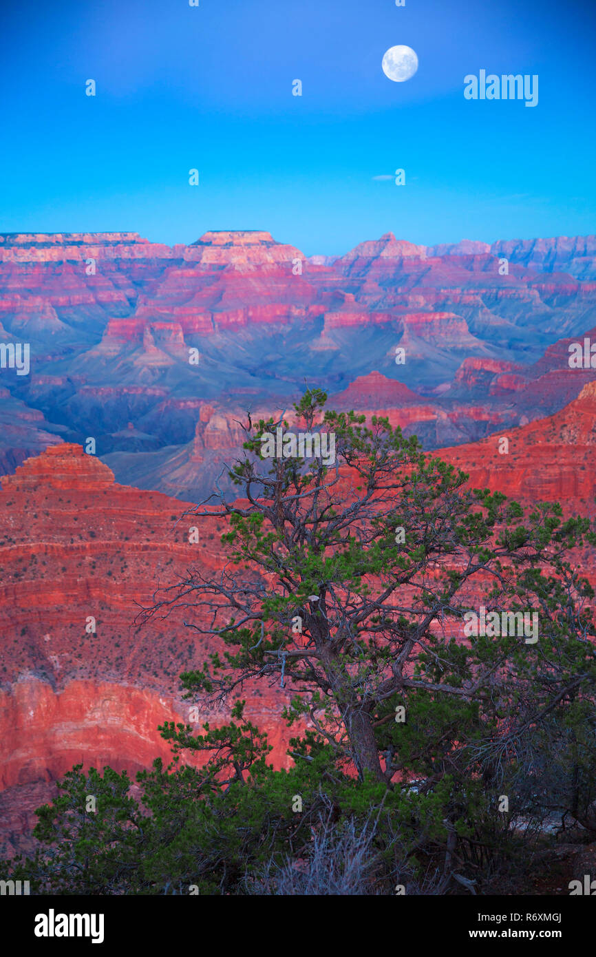 Grand Canyon at night Stock Photo - Alamy