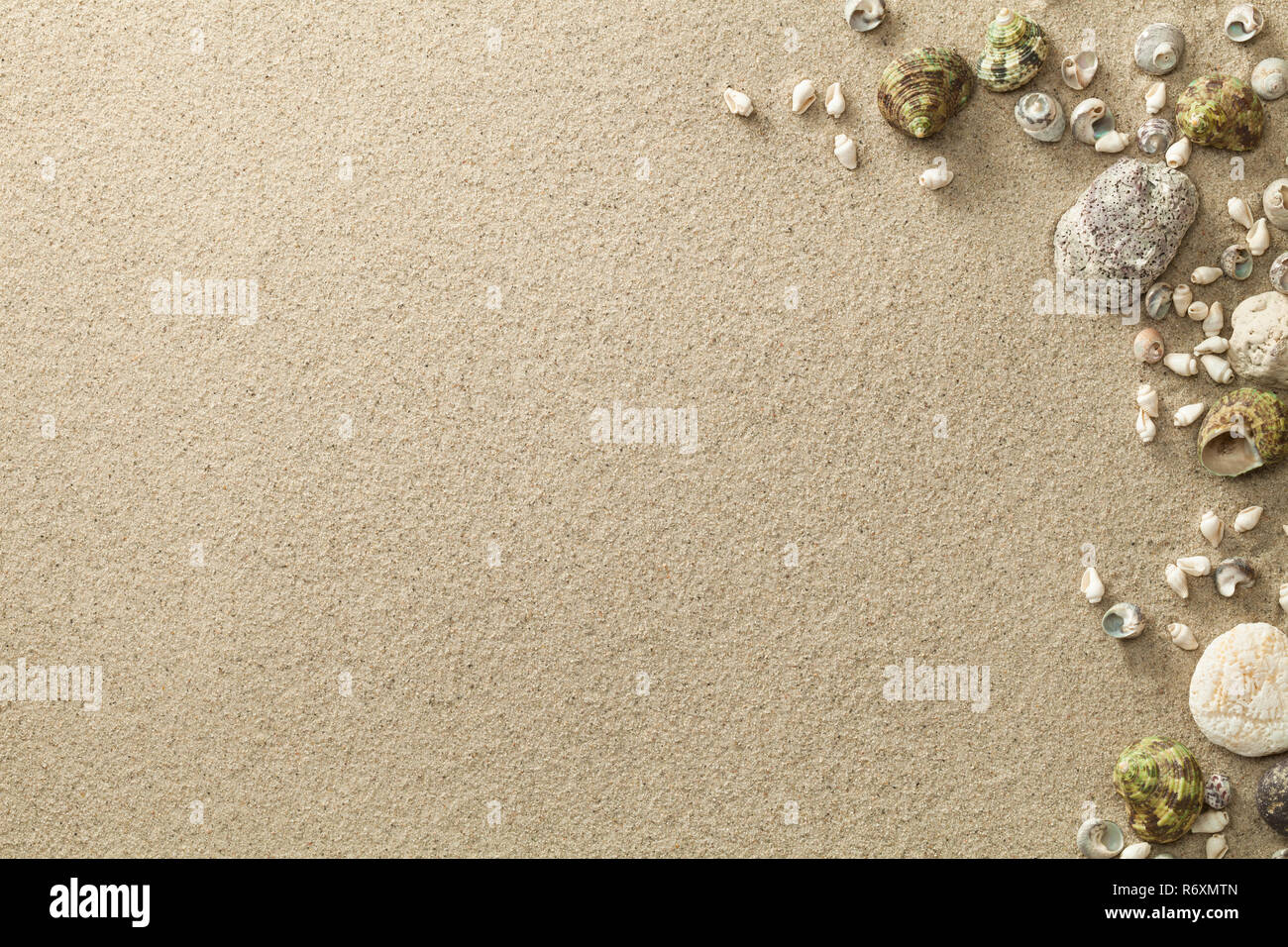 sand,beach background with shells and stones Stock Photo - Alamy