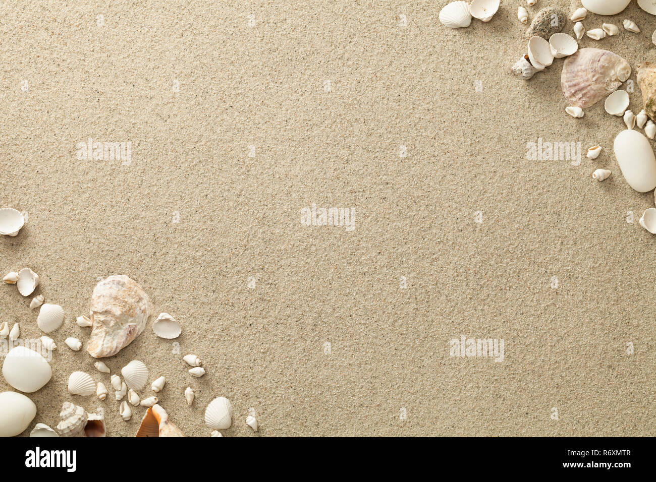 sandy beach background with shells and stones Stock Photo - Alamy