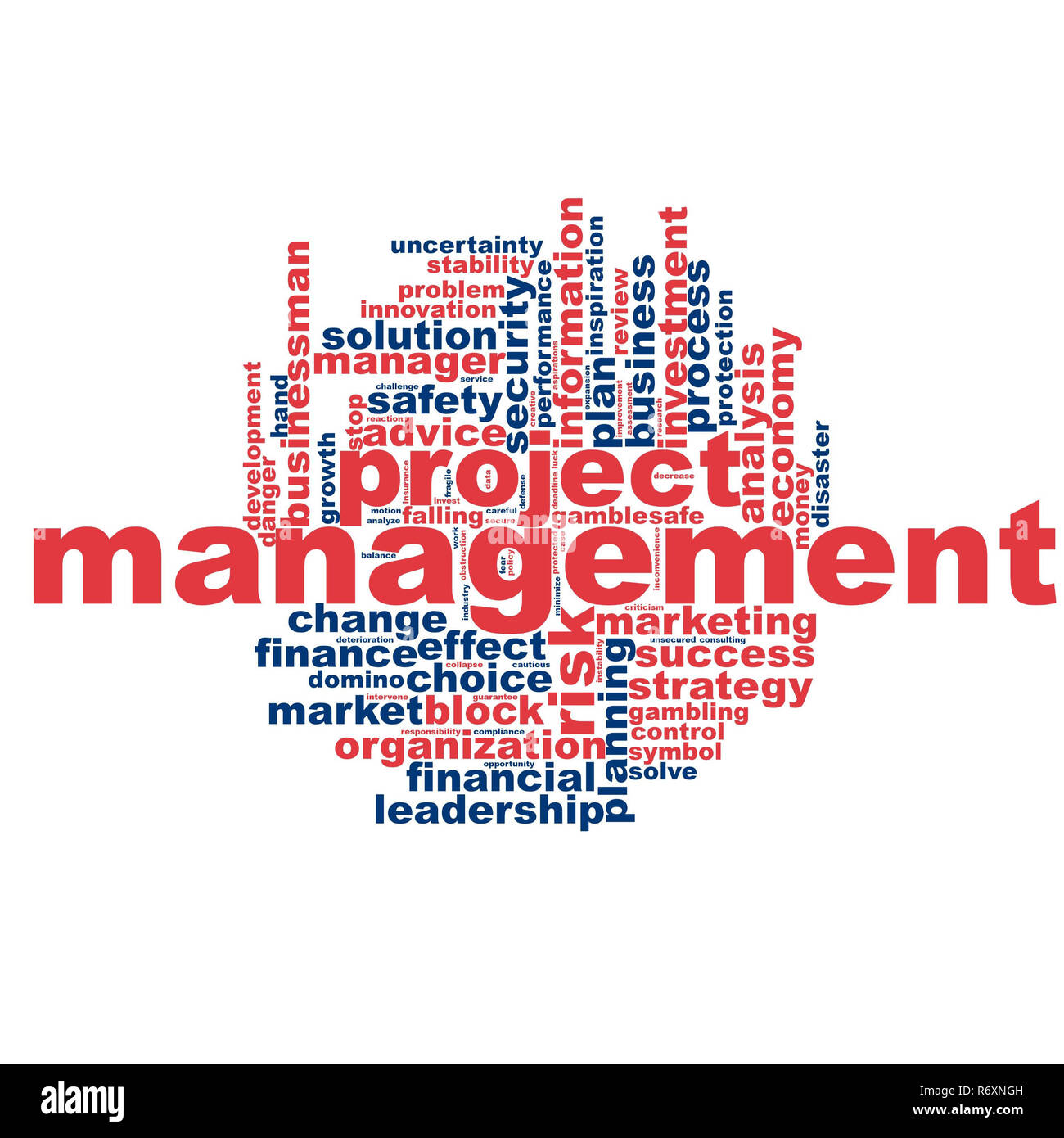 Project Management Word