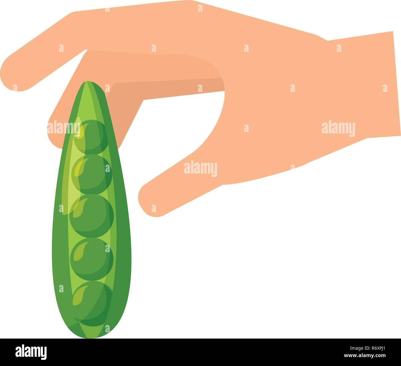 healthy food fresh Stock Vector Image & Art - Alamy