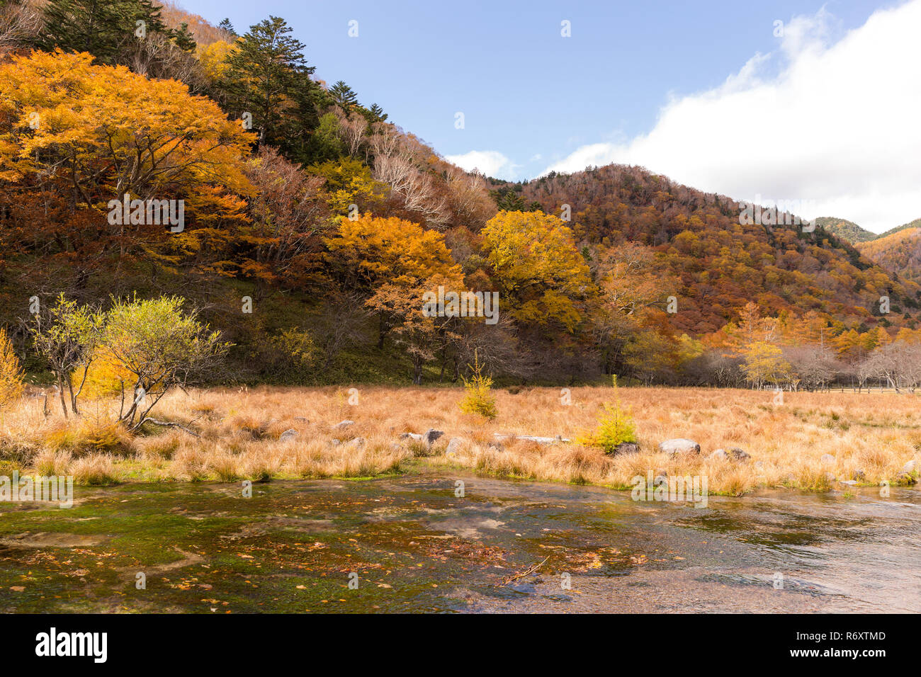 Beautiful autumn landscape in nikko of Japan Stock Photo - Alamy