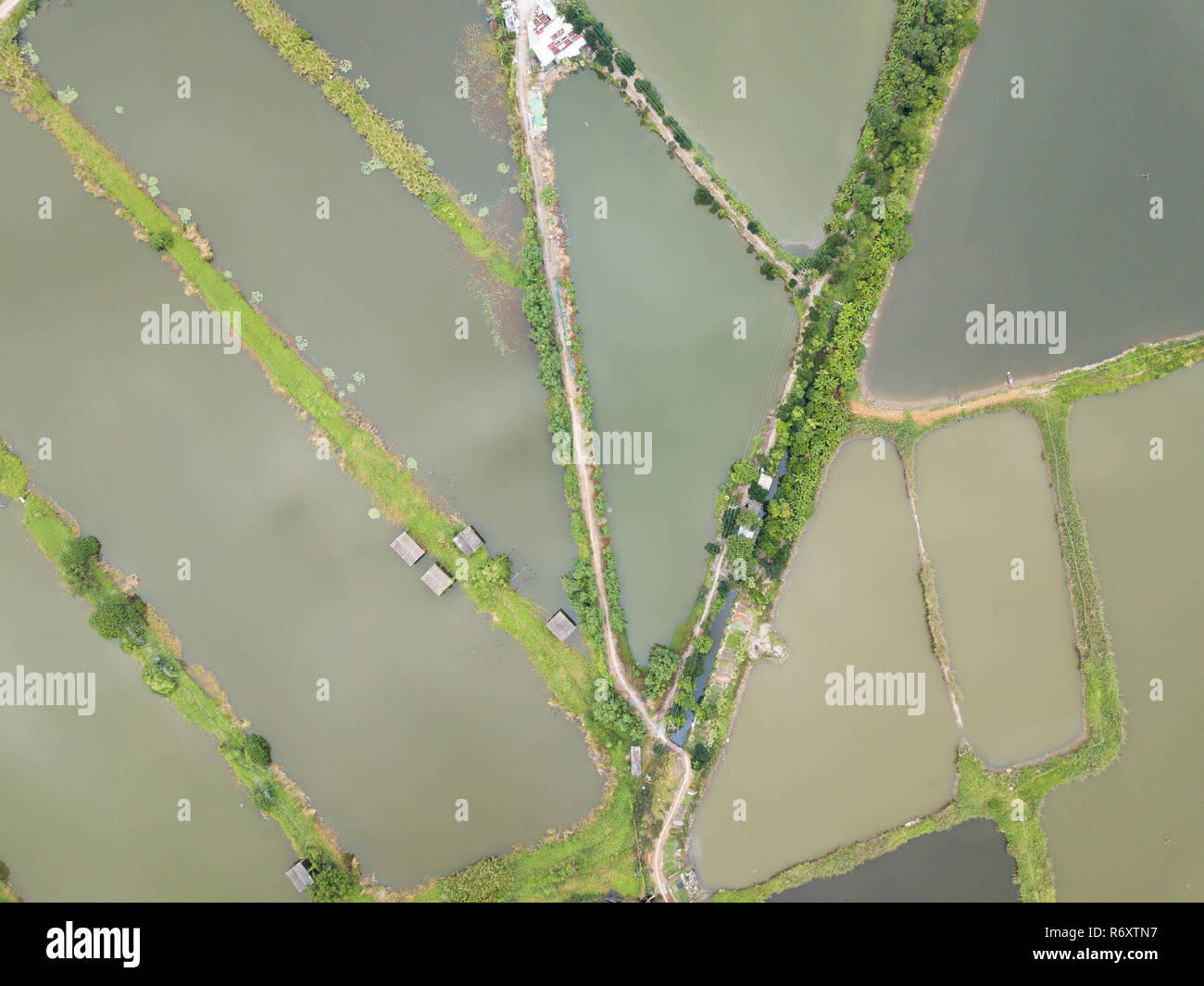Top view of Fish hatchery pond Stock Photo - Alamy