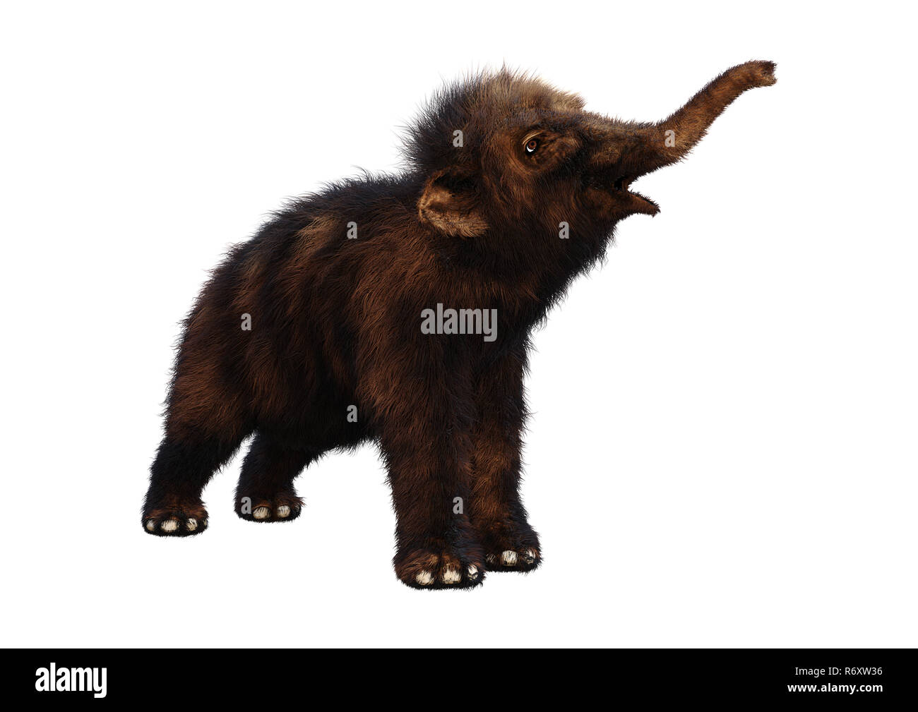 3D Rendering Woolly Mammoth Baby on White Stock Photo - Alamy