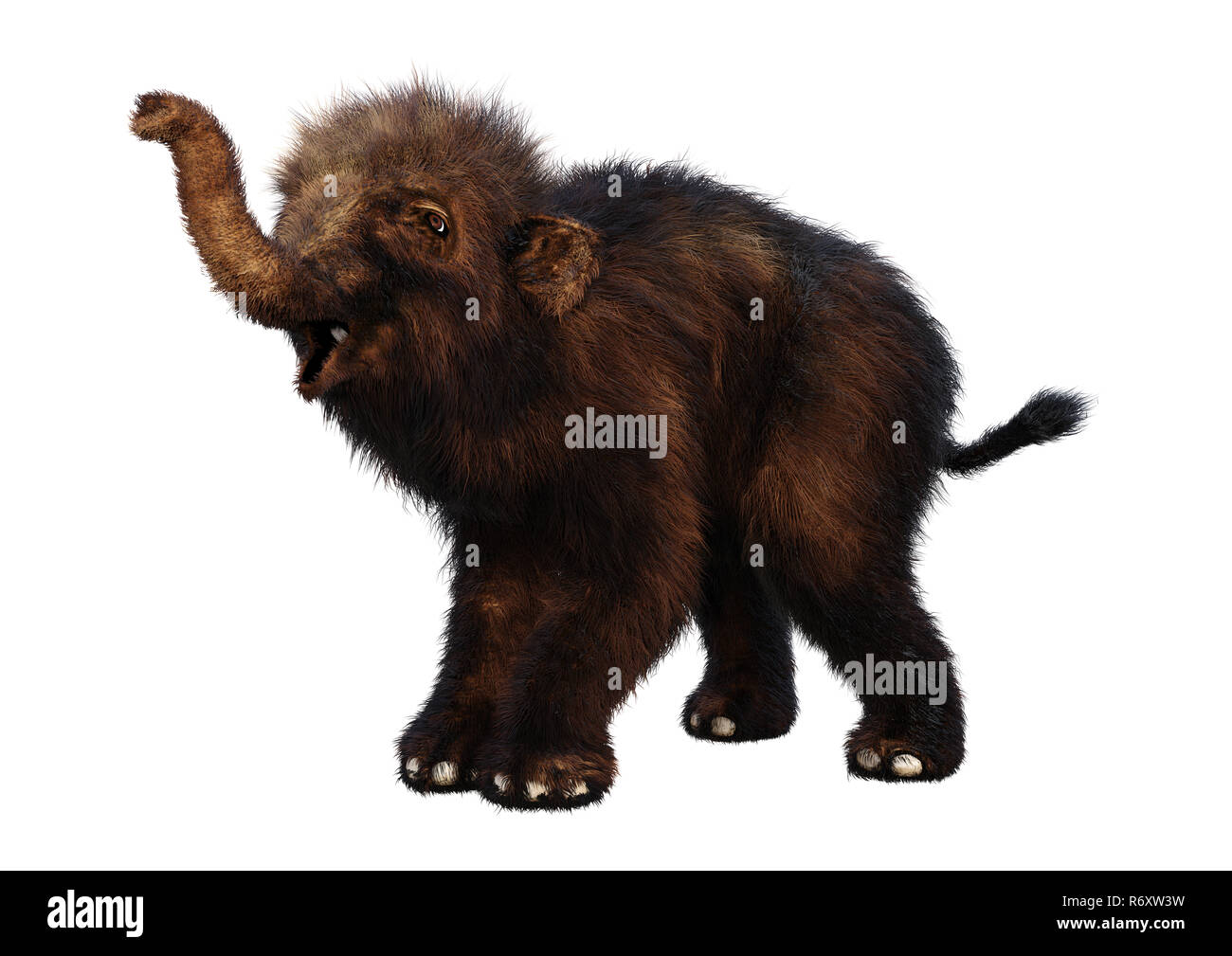 3D Rendering Woolly Mammoth Baby on White Stock Photo - Alamy