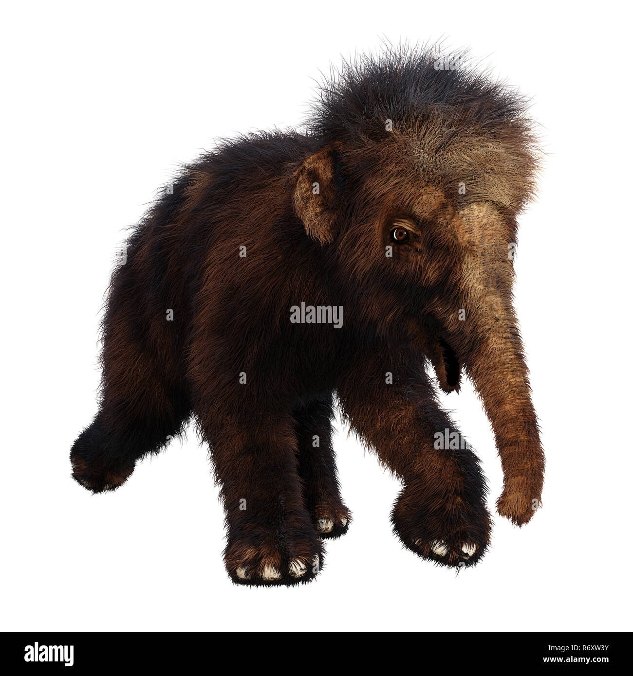 3D Rendering Woolly Mammoth Baby on White Stock Photo - Alamy